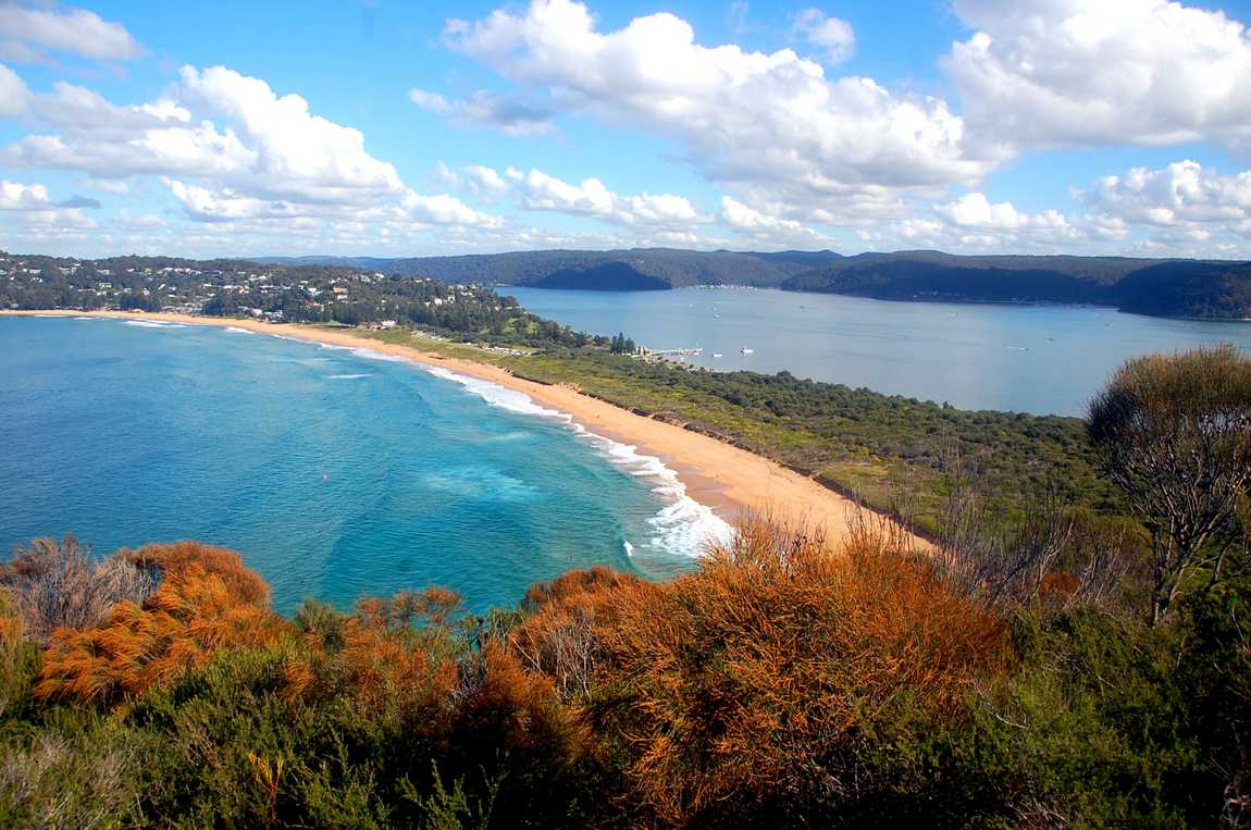 Freshwater Beach . Que voir
