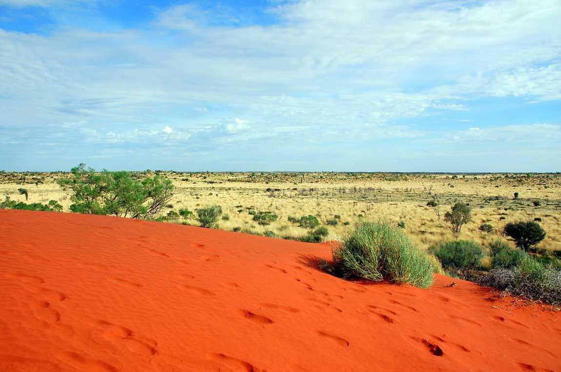 Simpson Desert . Que voir