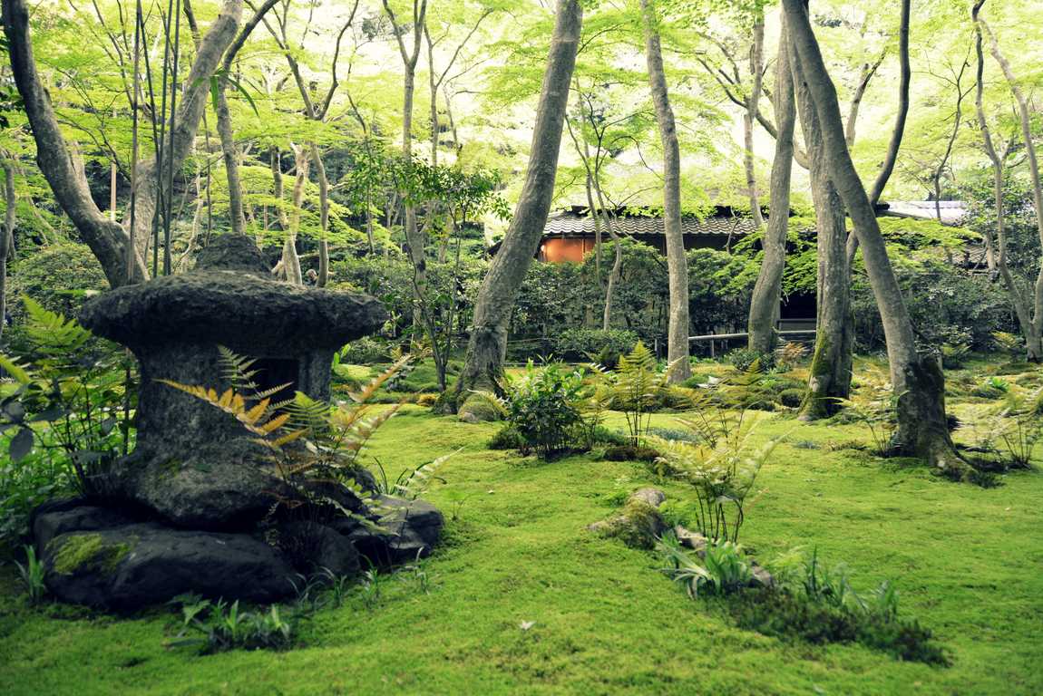 Gio-ji-temple . Que voir